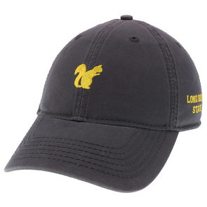 Hats & Headwear – Long Beach State Official Store